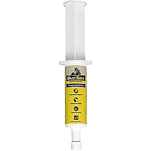 REDMOND Daily Gold Syringe Natural Healing Clay for Gastric Ulcers in Horses (Stress Relief Pre-Race Paste) (Single Pack)