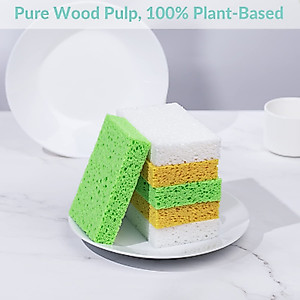 Pop-Up Sponges 6 Pack, REIDEA 100% Biodegradable Scrub for Kitchen - Non Scratch Odor Free Plant Based Dish Sponge - Eco-Friendly Wood Pulp Sponge (Colored, 6 Pack)