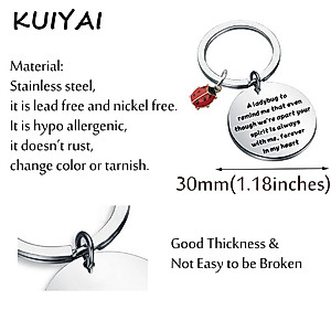 KUIYAI Ladybug Sympathy Gift Memorial Gift Condolences Gift Remembrance Gift Bereavement Gift Family Loss Gift For Grieving Friend (LadybugK)