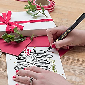 GETHPEN Calligraphy Pens,Hand Lettering Pens, Calligraphy Brush Pen set for Beginners Writing, Sketching, Scrapbooking, Journaling, Soft and Fine Tip, Black Ink Drawing Pen Set, 8 Size