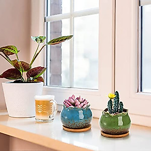 TOPZEA Set of 6 Succulent Plant Pot, 4 Inch Glazed Ceramic Plant Pots Cactus Succulent Pot with Drainage and Saucer, Mini Bonsai Planter Small Flower Pot for Indoor Outdoor