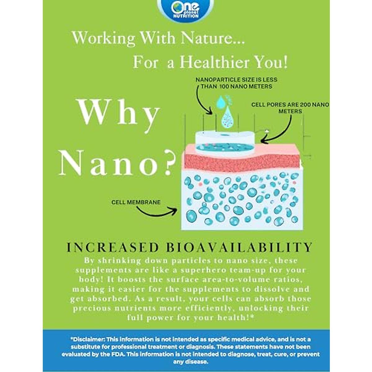 One Planet Nutrition Nano Ginkgo biloba 250 mg Veggie Capsules (120 Servings), Ginkgo biloba Extract, Nano for Higher Absorption, Improves Cognitive Function & Circulation, Non-GMO, Vegan, Gluten Free