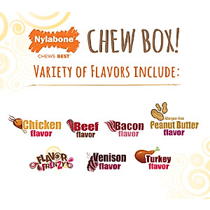 Nylabone Chew Toy Dog Surprise Box Variety X-Small/Petite (1 Count) All Breed Sizes