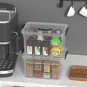 Jandson 4 Packs Plastic Storage Box with Handle, 10 L Clear Lidded Organizer Bin