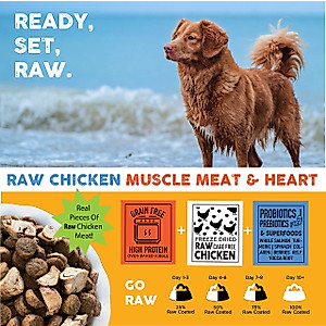 Nature's Diet Raw Mix Kibble with Freeze-Dried Chicken, Superfoods and Probiotics