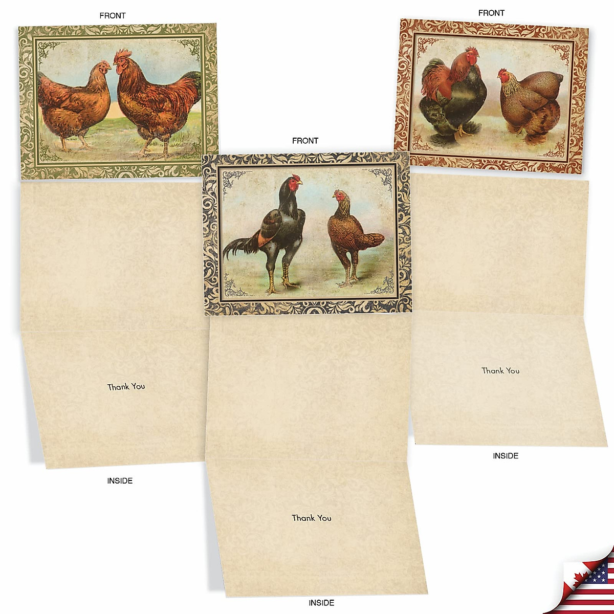 The Best Card Company - Boxed Set of 10 Bird Thank You Notecards with Envelopes 4 x 5.12 inch, Feathered Animal Gratitude - Card-A-Doodle-Do M2351TYG