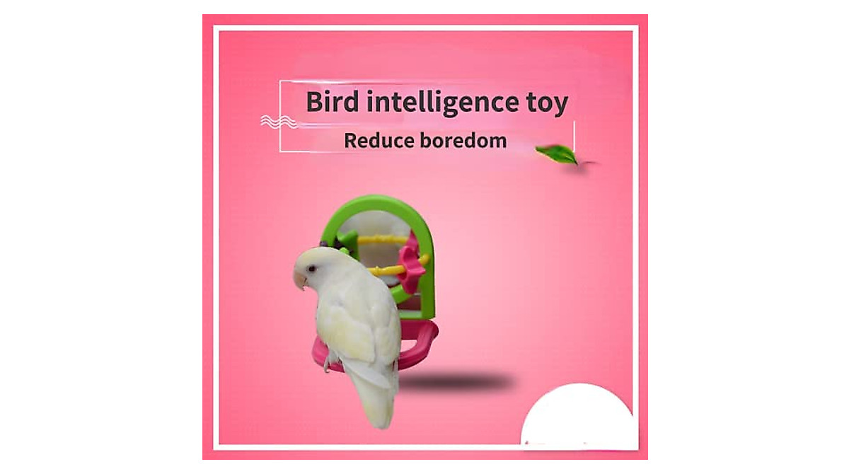 Interactive Bird Toy with Mirror for Small Birds