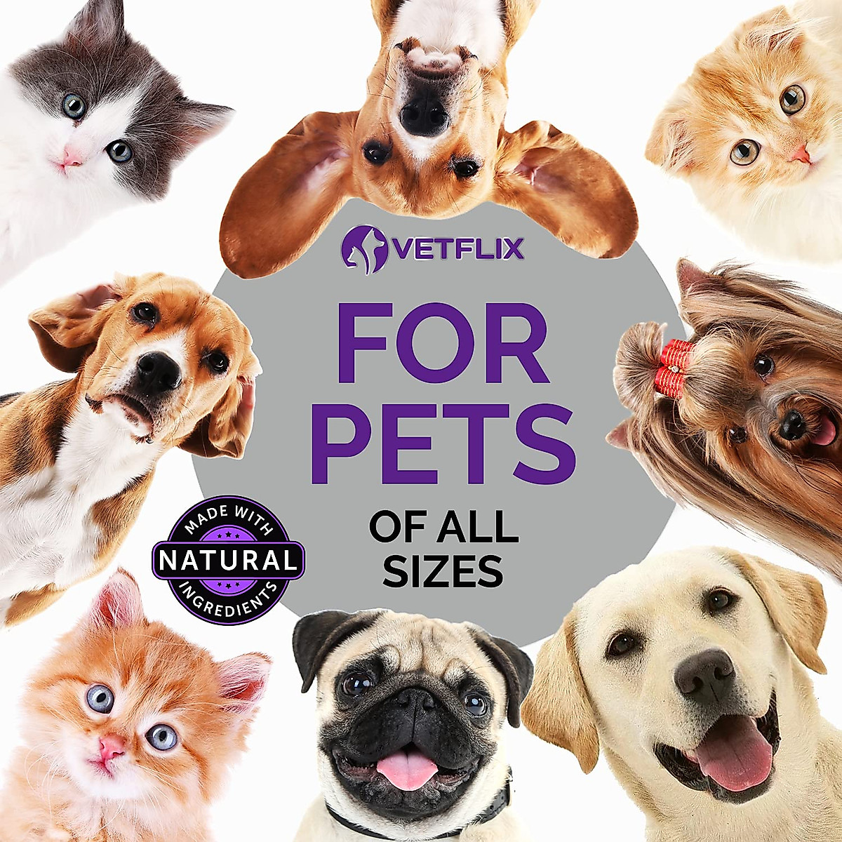 Pet Adrenal Support for Dogs & Cats - Made in USA - Cushings Treatment for Dogs - Cat & Dog Supplement for Kidney Support