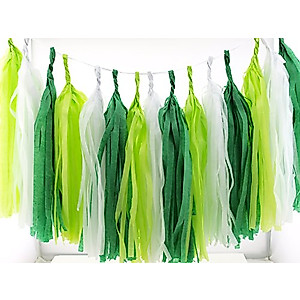 St Patrick's Day Tissue Paper Garland, Shamrock Green Streamers (Set of 15) - St Patricks Day Party Supplies, Irish Luck Green Decorations for Party, St Patricks Day Leprechaun Bunting Banner