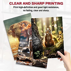 W2112A Magenta Toner Cartridge (with Chip) ,206A High Capacity Toner Cartridge, Compatible for M255nw MFP M283cdw MFP M282nw MFP M283fdn MFP M283fdw M255dw Printer (2 Pack/Magenta)