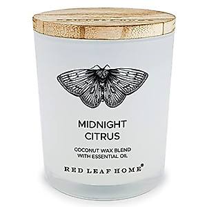 Red Leaf Home | Midnight Citrus Jar Candle with Wooden Lid | Medium | Aromatherapy | Vintage Insect Collection | 11oz