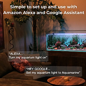 CURRENT USA ColorPlus Smart LED Aquarium Light 36 inch with App and Voice Control by Alexa & Google Home | Extra Vivid Colors for Freshwater Aquarium Fish Tank and Terrariums| Aluminum (36" to 48")
