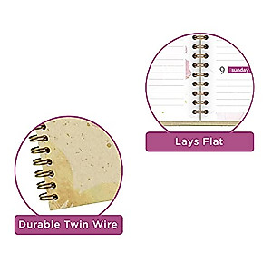 2022 Weekly & Monthly Planner by AT-A-GLANCE, 8-1/2" x 11", Large, Recycled, Watercolors (791-905G)