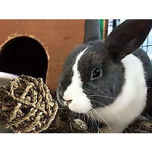 Hamster Fun Tunnel Pet Mouse Plastic Tube Toys Small Animal Foldable Exercising Training Hideout Tunnels with Cute pet Toys for Guinea Pigs,Gerbils,Rats,Mice,Ferrets and Other Small Animals (Blue)