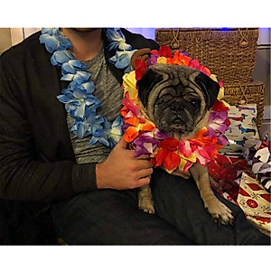 8 Pcs Thicken 41 Inch Hawaiian Leis, 4 Color Lei for Graduation Party, Dance Party, Photo Prop in Outdoors (8 Pcs 4 Color)