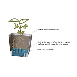 The HC Companies 8 Inch Aria Square Self Watering Planter - Plastic Plant Pot for Indoor Outdoor Plants Flowers Herbs, Matte Black