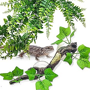 Hamiledyi Reptile Corner Branch Climbing Terrarium Plant Decoration Fake Vines Hanging with Suction Cup for Snakes Amphibian Bearded Dragons Lizards Frogs Geckos Tank Habitat Decor (2 PCS)