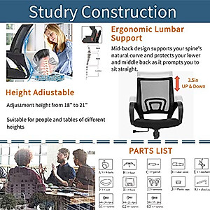 Payhere Executive Task Ergonomic Desk Home Computer Gaming Office Chair Mesh Working Chair with Mid-Back Lumbar Support Armrest Modern Adjustable Swivel Rolling Desk Chair for Women Men, Black