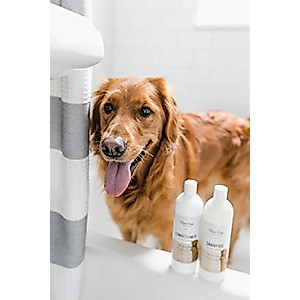 Martha Stewart for Pets All-Purpose Conditioner for Dogs with Oatmeal and Aloe | Oatmeal Dog Conditioner is Naturally Moisturizing, Soothing, and Nourishing for All Dogs | 16 Ounces