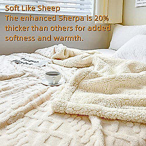Sherpa Fleece Throw Blanket-3D Stylish Design, Super Soft,Fluffy,Warm,Cozy,Plush,Fuzzy for Couch Sofa Living Room Bed-All Season Accessories(Beige, 60x80)