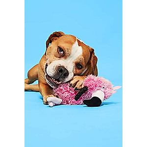 Barkbox Dog Rope Toys - Durable Tug Toys for Chewers, Puppy Teething, and Small, Medium, and Large Dogs | Bert of Paradise