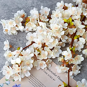 Sggvecsy Artificial Cherry Blossom Branches Faux Cherry Flowers 39 Inch Peach Branches Silk Tall Stems for Home Wedding Table Vase Decor (3 Pcs, Ivory)