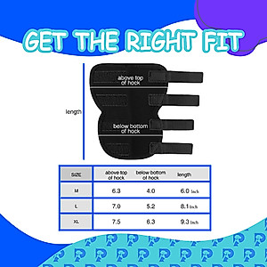 PETSPLICITY Dog Rear Leg Hock Brace - Canine Joint Support for Injury, Arthritis, ACL, Pain Relief. Compression Wrap Senior Dog Mobility Aid, Orthopedic Rehabilitation, Recovery Hock Brace(Large)