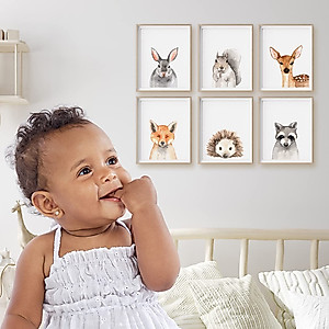 Designs by Maria Inc. Set of 6 UNFRAMED Animal Posters | Watercolor Animal Wall Decor | Woodland Nursery Decor | Baby Decor For Nursery Wall Art | Baby Room Wall Decor For Kids Boys And Girls (8"x10")