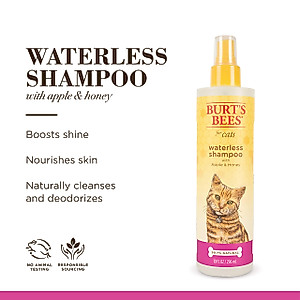 Burt's Bees for Pets Cat Natural Waterless Shampoo with Apple and Honey | Cat Waterless Shampoo Spray | Easy to Use Cat Dry Shampoo for Fresh Skin and Fur Without a Bath | Made in the USA, 10 Oz