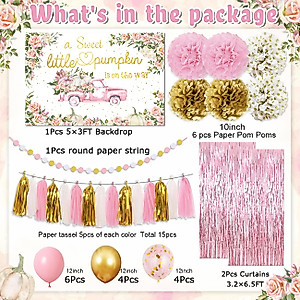 Little Pumpkin Baby Shower Decorations, Girl Pink Pumpkin Baby Shower Decorations, A Little Sweet Pumpkin is On The Way Backdrop, Pink Pumpkin Baby Shower Party Supplies