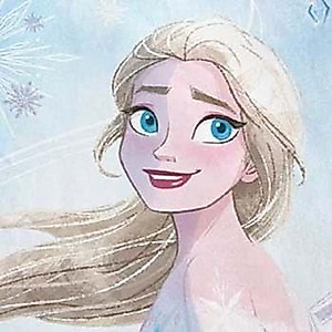 Northwest Frozen Silk Touch Sherpa Throw Blanket, 40" x 50", Magical Destiny