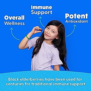 Feel Great Kids Elderberry Gummies with Zinc and Vitamin C | Kids Immune Support Sambucus Elderberry Gummies | Berry Flavored Vegan Kids Multivitamins | 90 Day Supply