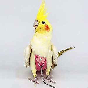 Hibye Bird Parrot Velvet Leather Diaper with Leash Harness Rope Cockatiel Pigeons Flight Suit Clothes Feces Pocket Training Adjustable Pet Supplies
