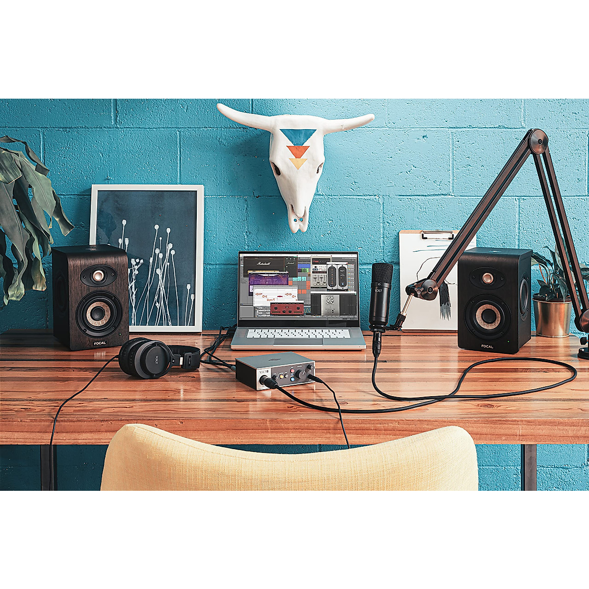 UA Volt 1 USB Audio Interface for recording, podcasting, and streaming & Amazon Basics Standard XLR Male to Female Balanced Microphone Cable, Durable & Flexible, Noise-Cancelling - 6 Feet, Black