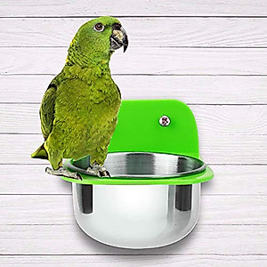 Bird Cage Feeder, Stainless Steel Food Water Bowls with Plastic Holder Parrot Feeding Bowls Cup for Macaw African Greys Budgies Parakeet Cockatiels Conure Lovebird Finch(Green)