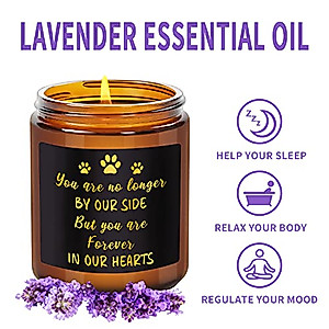 Pet Loss Gifts, Pet Memorial Gifts for Dogs, Dog Sympathy Gifts, Dog Remembrance Gifts, Dog Bereavement Gift, Dog Loss Gifts, Dog Keepsake for Women, Men, Dogs Lovers - Lavander Scented Candles