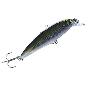 Rapala X-Rap Saltwater 08 SXR08PLD: X-Rap Saltwater 08 Pilchard