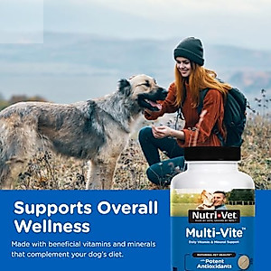 Nutri-Vet Multi-Vite Chewables for Dogs | Daily Vitamin and Mineral Support to Help Maintain Peak Condition | 60 Count