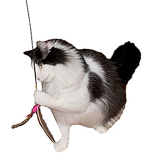GoCat Da Bird Rod and Feather Cat Toy, Handmade in The USA (1 Bird)