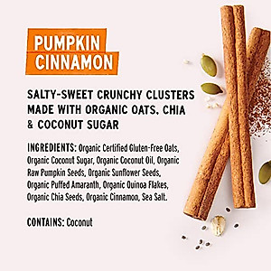 Purely Elizabeth, Pumpkin Cinnamon, Ancient Grain Granola, Gluten-Free, Non-GMO, 12 Ounce (Pack of 3)