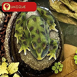 Sunthus Frog Garden Statues Toad Outdoor Decor Sculptures Yard Resin Decorations