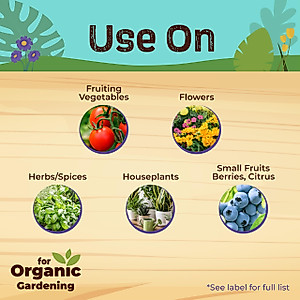 Bonide Captain Jack's 12 oz Neem Max Ready-to-Use Spray for Houseplants Indoors