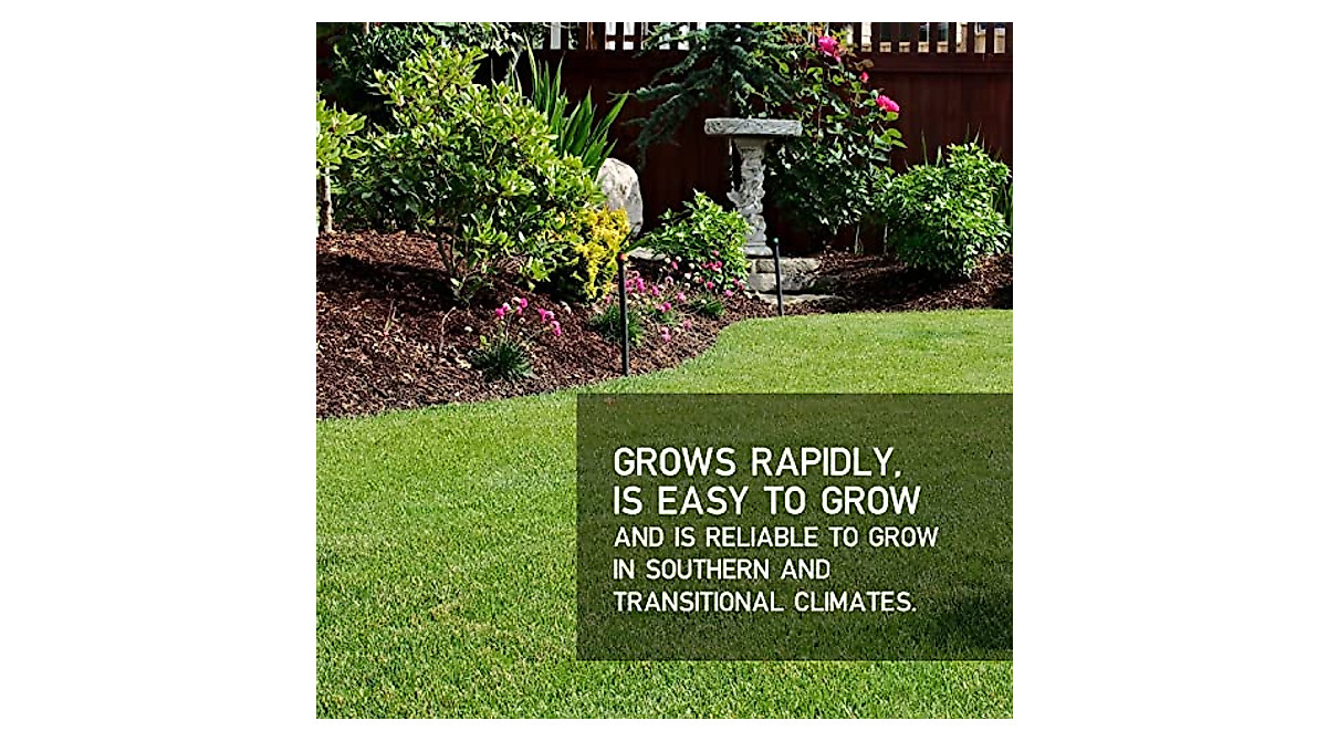 Hancock Seed Highlander Turf Bermuda Grass 10 lbs - Buy Now