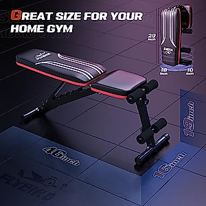 FLYBIRD Adjustable Weight Bench Workout Bench for Home Gym, 15 Degree Decline Sit-Up, Sturdy Durable Folding Weight Bench for Years of Workout -FBGEAR23