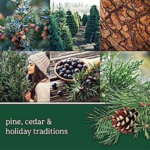 Yankee Candle Balsam & Cedar Scented, Classic 22oz Large Tumbler 2-Wick Candle, Over 75 Hours of Burn Time