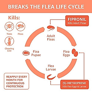 Amazon Basics Flea and Tick Topical Treatment for Small Dogs (5-22 pounds), 3 Count (Previously Solimo)