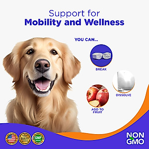 Dogs Supplement Kit - Turmeric Anti Inflammatory Hip and Joint + Organic Cranberry UTI Incontinence + Allergy, Digestive & Immune Support Probiotic - 120 Tablets x 3