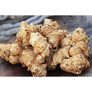 Jerusalem Artichoke Tubers Planting, 0.5 LB Ornaments Garden Perennials Simple to Grow Pots Gift