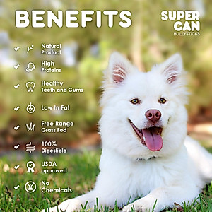 SUPER CAN BULLYSTICKS Beef Trachea Dog Chews 6'' (10 Count) | 100% Natural Farm Raised Beef Dental Treats | Non-GMO Chews for Puppies and Adult Dogs