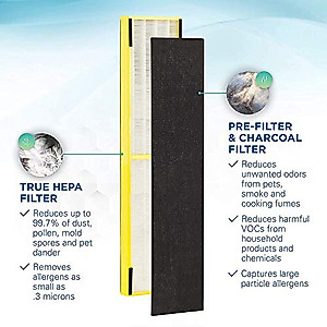 germguardian Guardian Technologies FLT50004PK FLT5000 HEPA Replacement Filter C, AC5000E, AC5250PT, AC5350B, AC5350BCA, AC5350W, AC5300B Air Purifiers, 4 pack